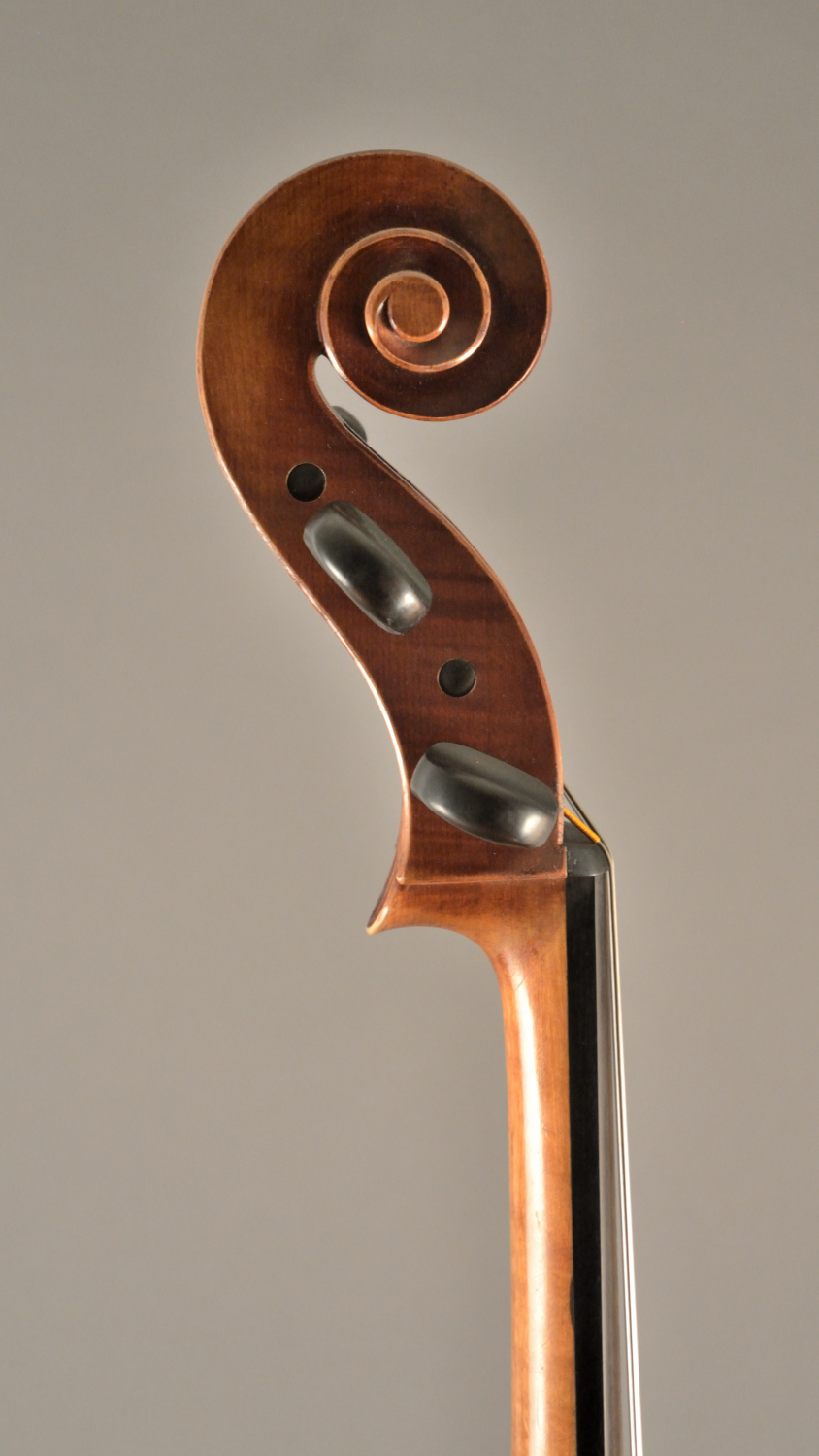 Frank Denti cello | Wamsley Violins